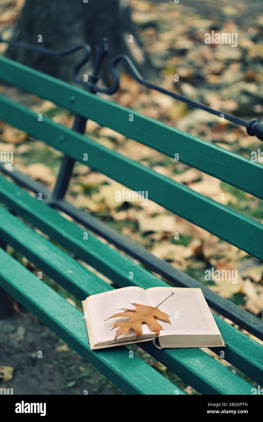 Open book with leaf lying on the bench in autumn park Stock Photo - Alamy