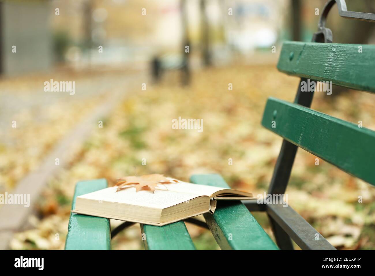 Open book with leaf lying on the bench in autumn park Stock Photo - Alamy