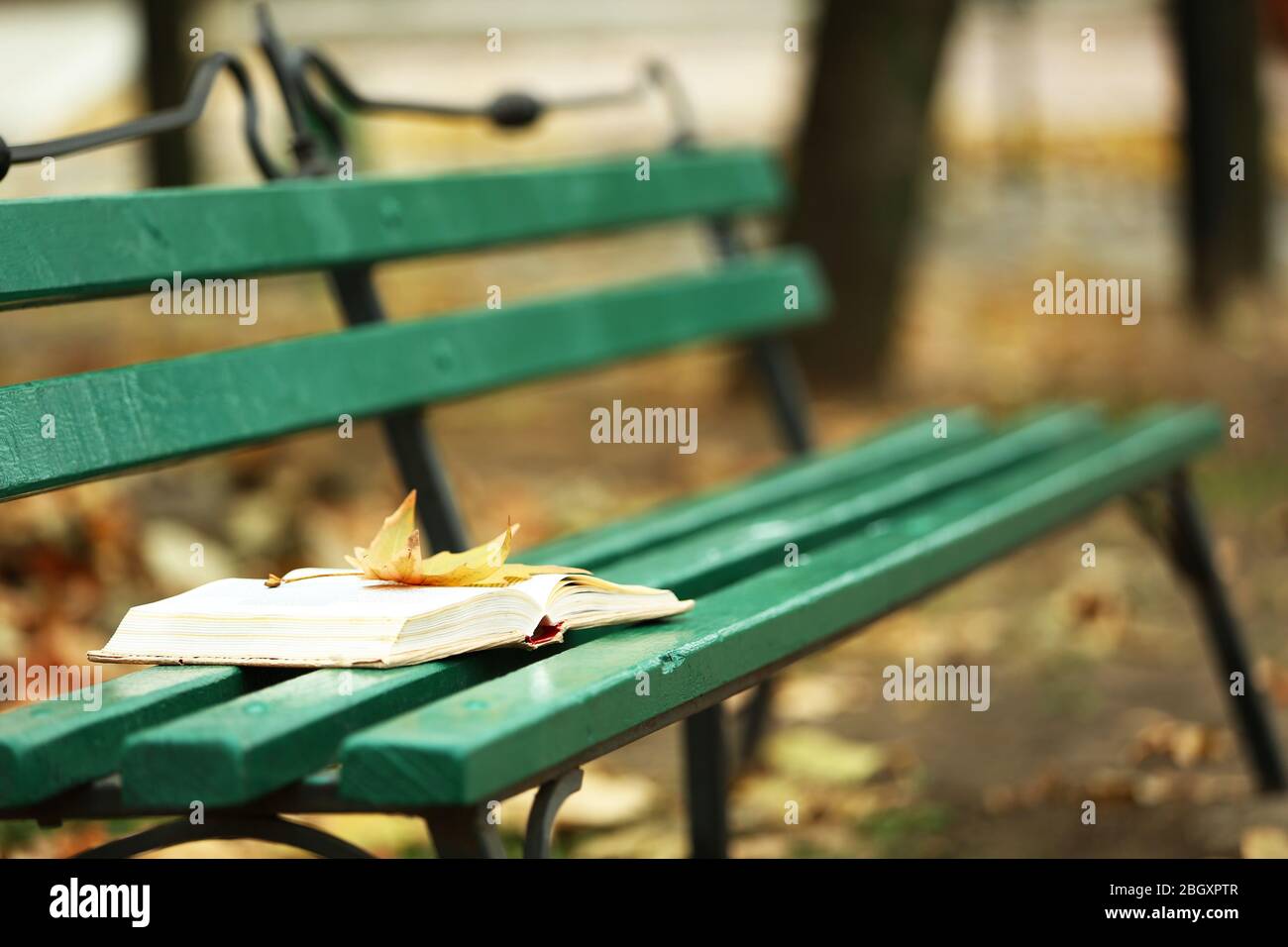 Open book with leaf lying on the bench in autumn park Stock Photo - Alamy