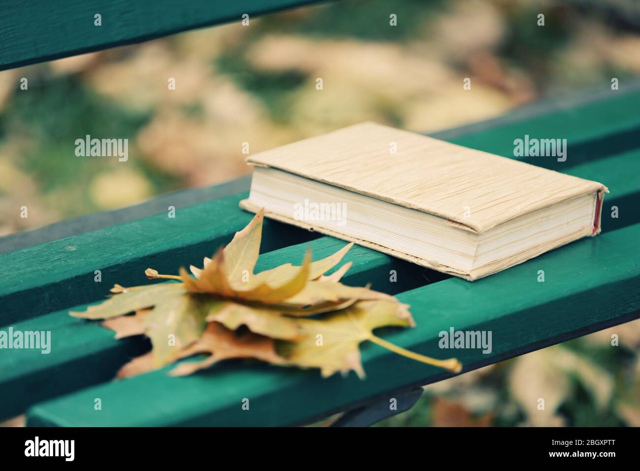 Closed book lying near autumn leaves on bench in park Stock Photo - Alamy