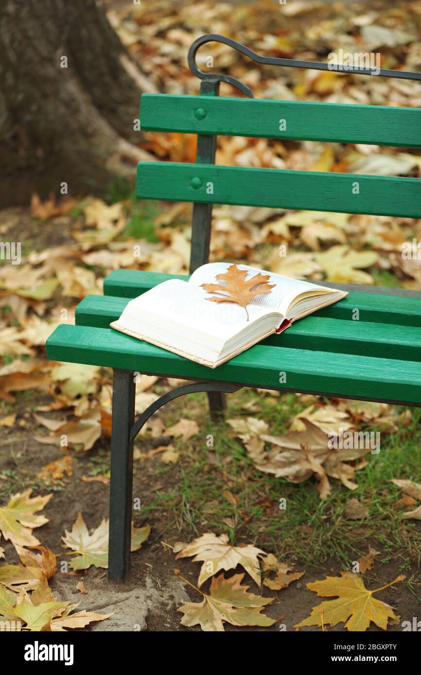 Autumn leaves lie on a wooden bench hi-res stock photography and images ...