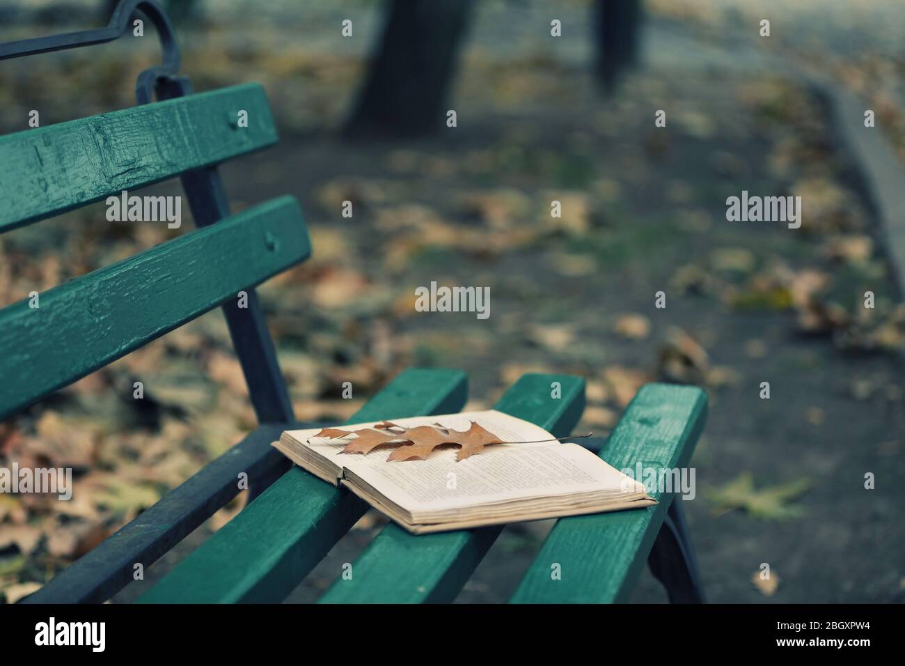 Opened ground book hi-res stock photography and images - Alamy