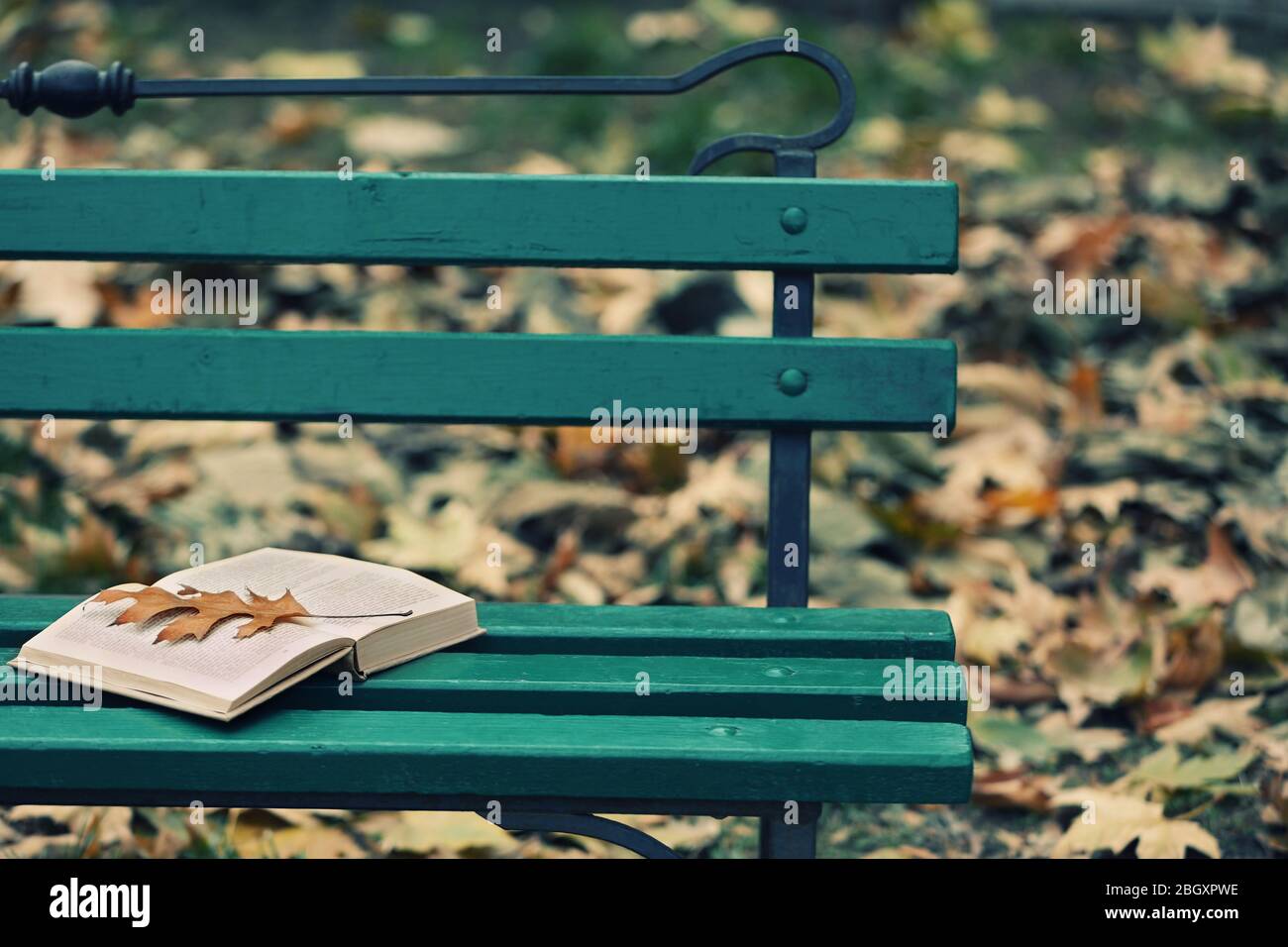 Open book with leaf lying on the bench in autumn park Stock Photo - Alamy