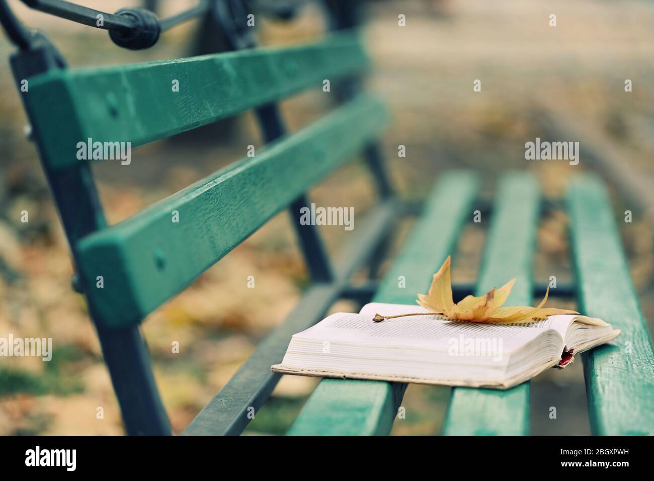 Open book with leaf lying on the bench in autumn park Stock Photo - Alamy