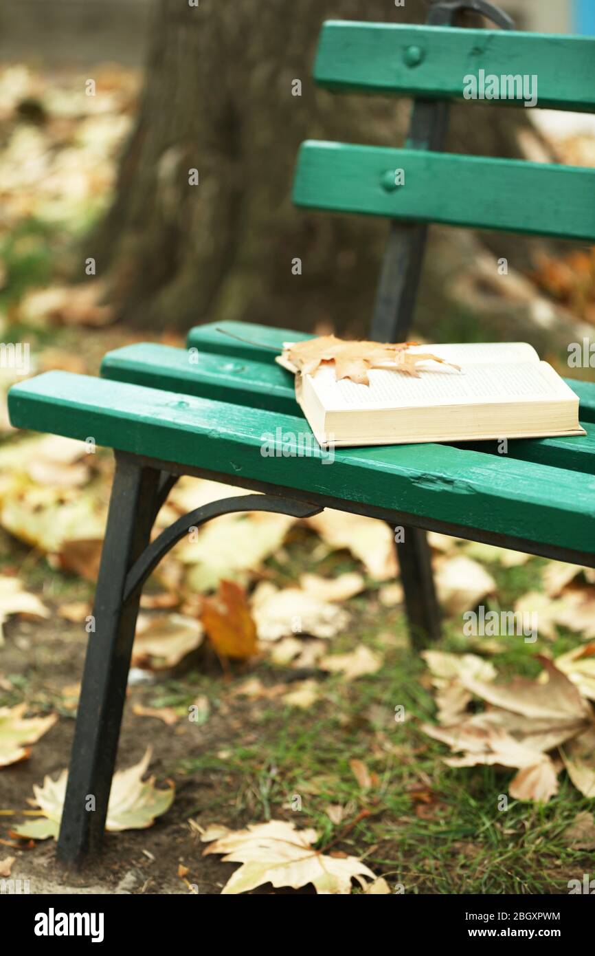 Autumn leaves lie on a wooden bench hi-res stock photography and images ...