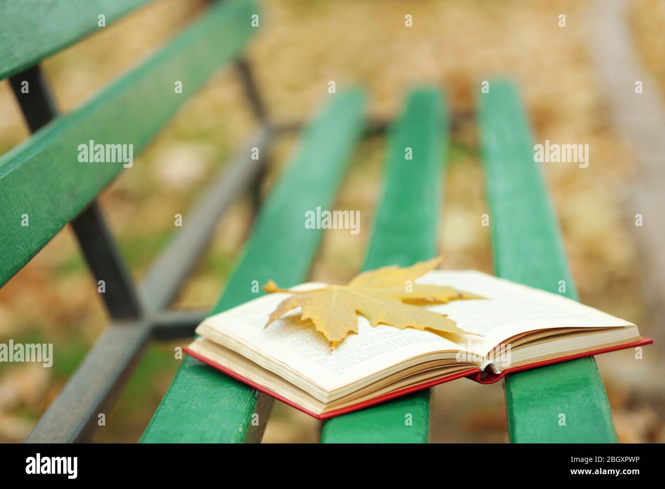 Open book with leaf on it lying on the bench in autumn park Stock Photo ...