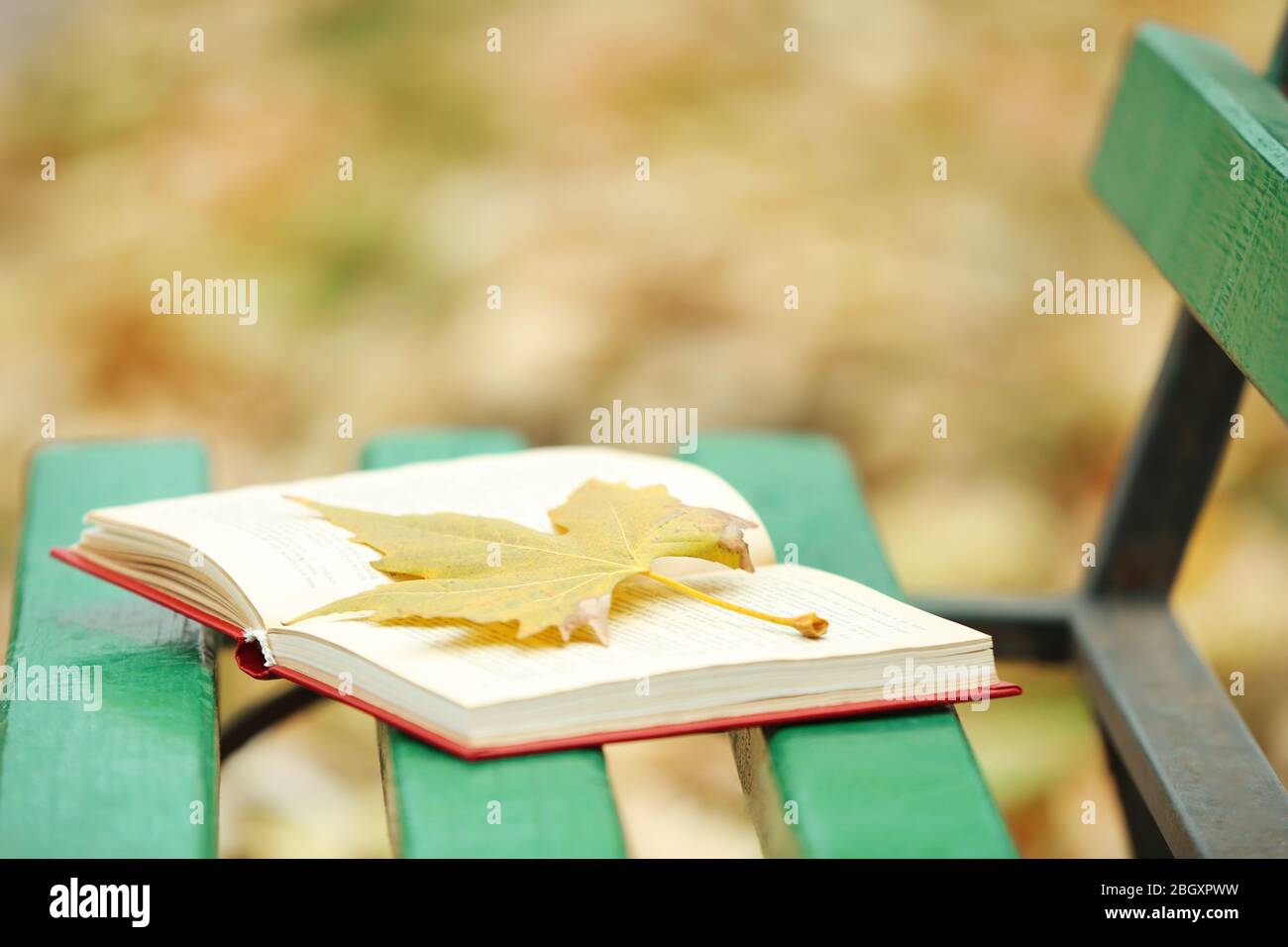 Open book with leaf on it lying on the bench in autumn park Stock Photo ...