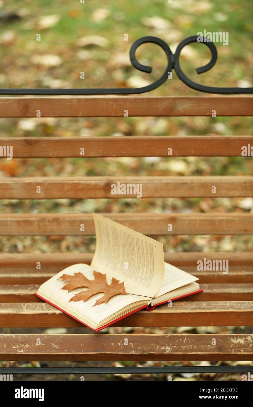 Open book with leaf lying on brown bench in autumn park Stock Photo - Alamy