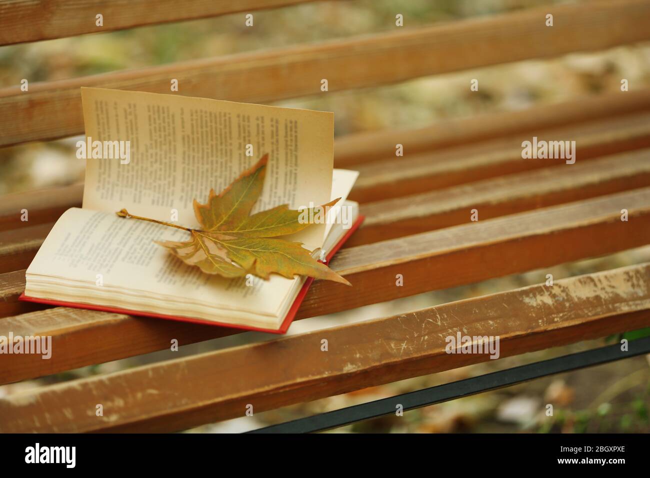 Open book with leaf lying on brown bench in autumn park Stock Photo - Alamy