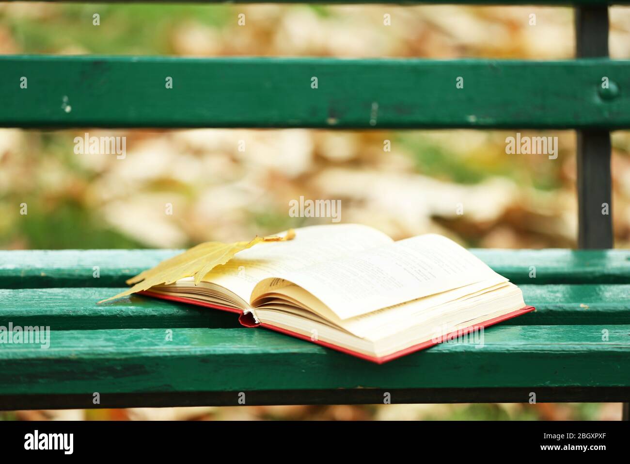 Open book with leaf on it lying on the bench in autumn park Stock Photo ...