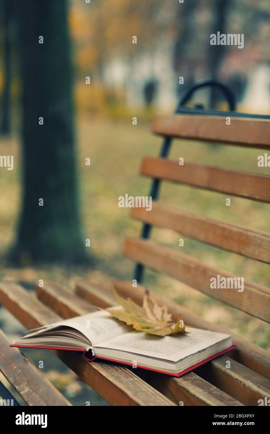 Open book with leaf lying on brown bench in autumn park Stock Photo - Alamy