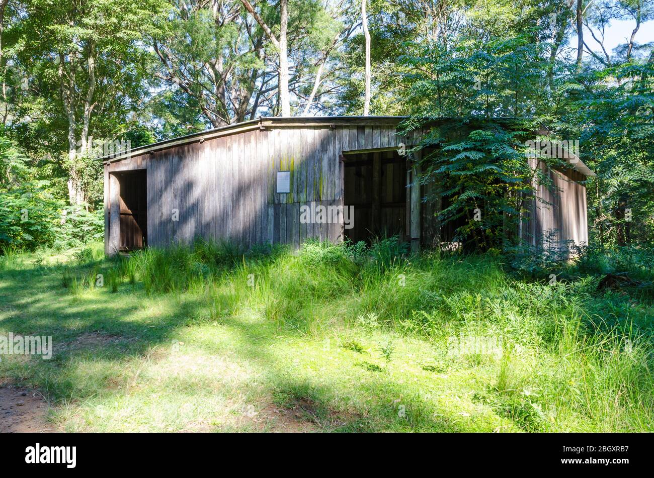 Pit pony hi-res stock photography and images - Alamy