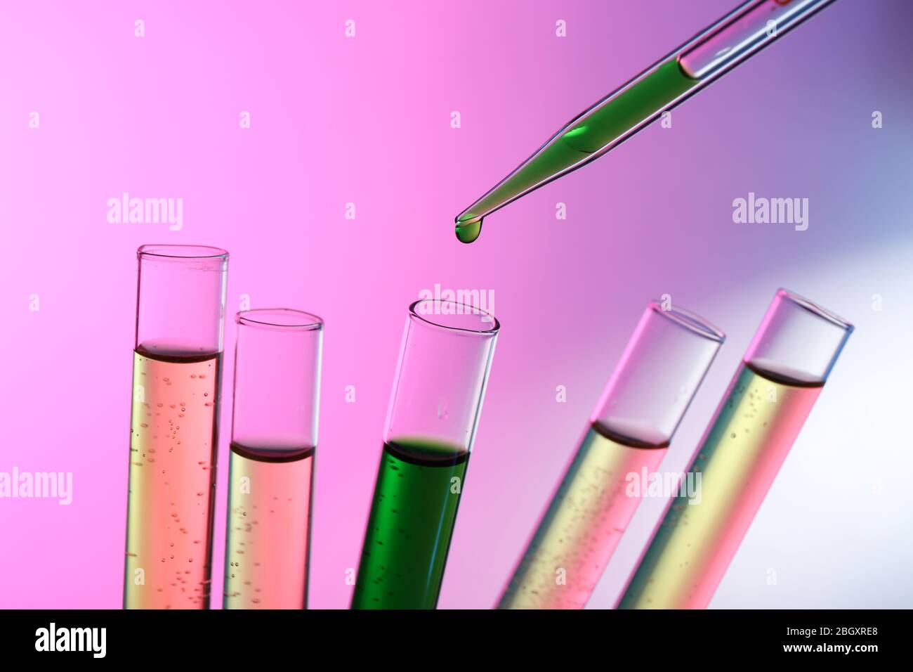 Pipette adding liquid to the one of test-tubes on the pink shining ...
