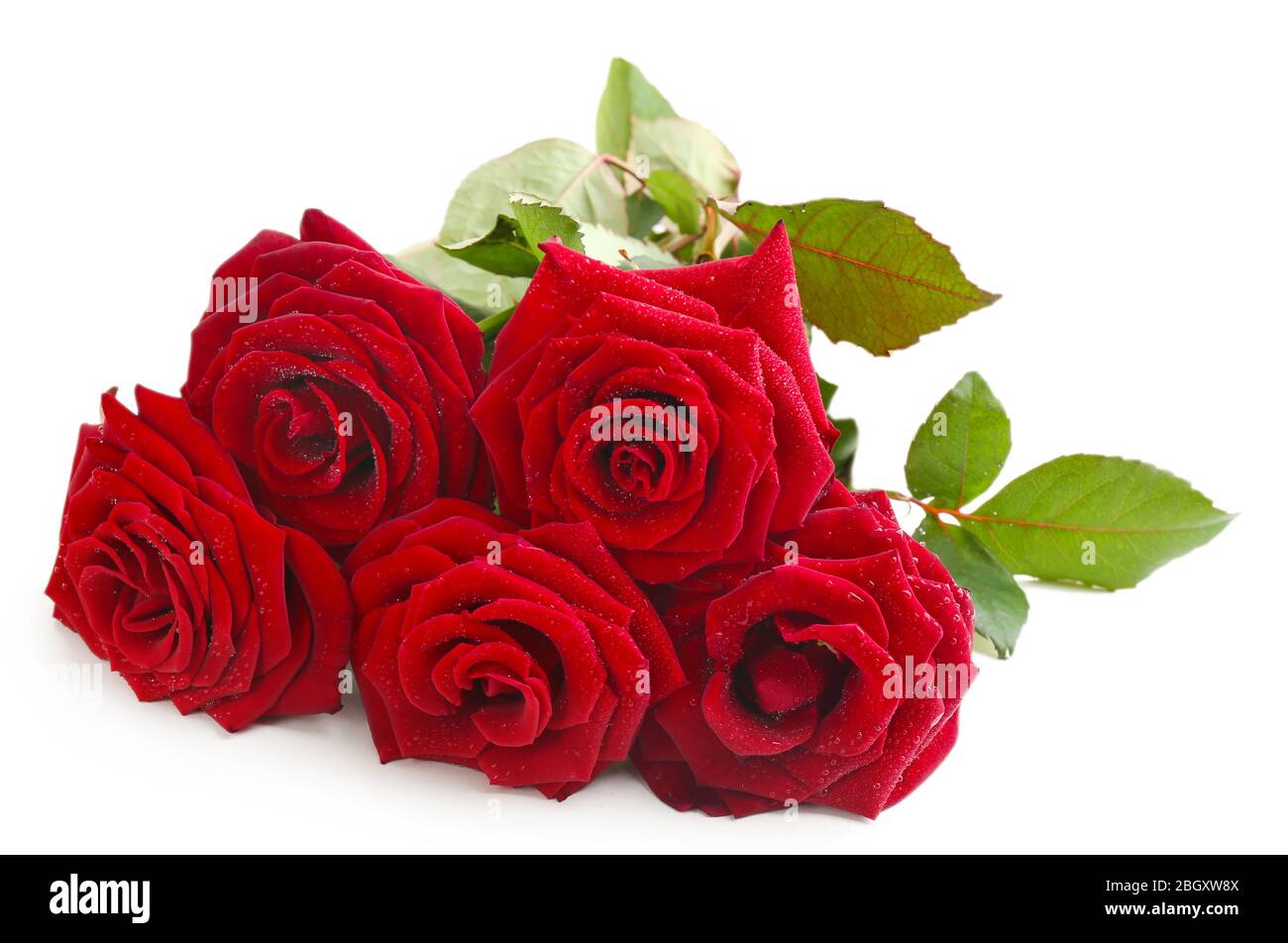 Beautiful red roses isolated on white Stock Photo - Alamy