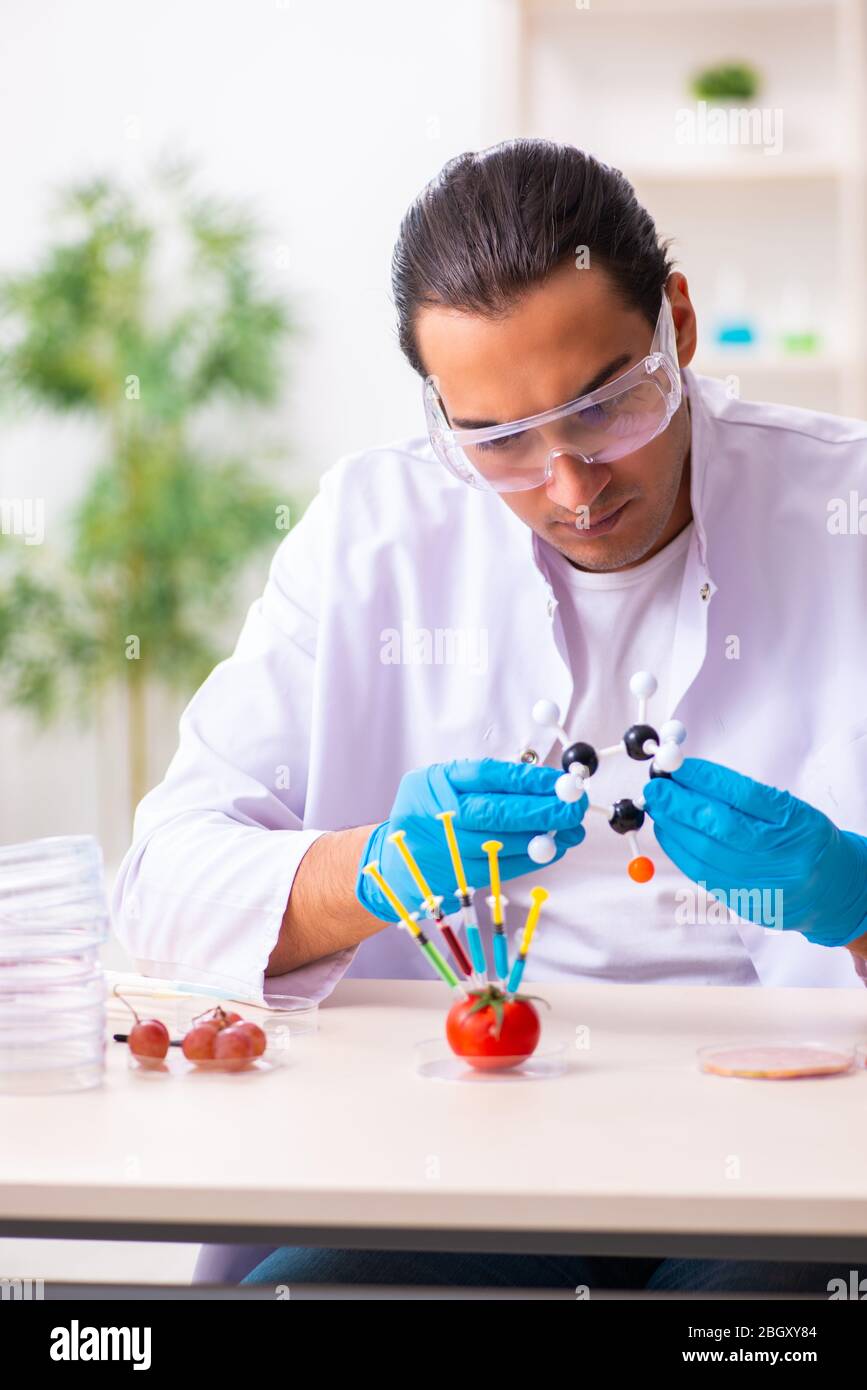 Young nutrition expert testing food products in lab Stock Photo - Alamy