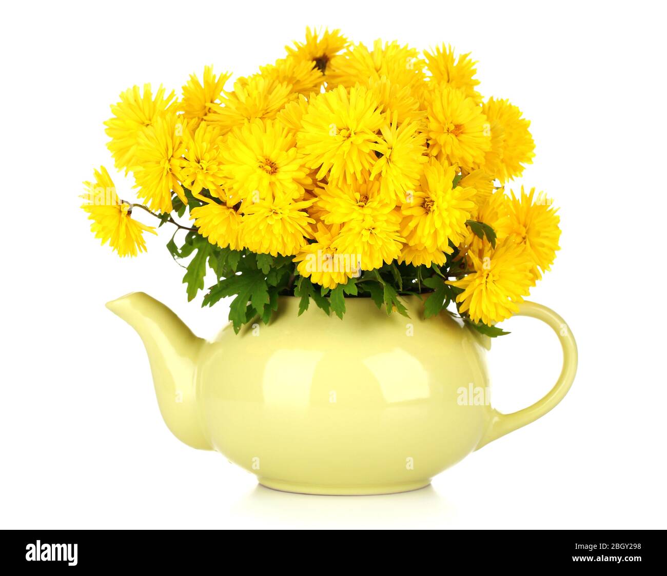Teapot fresh flowers on Cut Out Stock Images & Pictures - Alamy