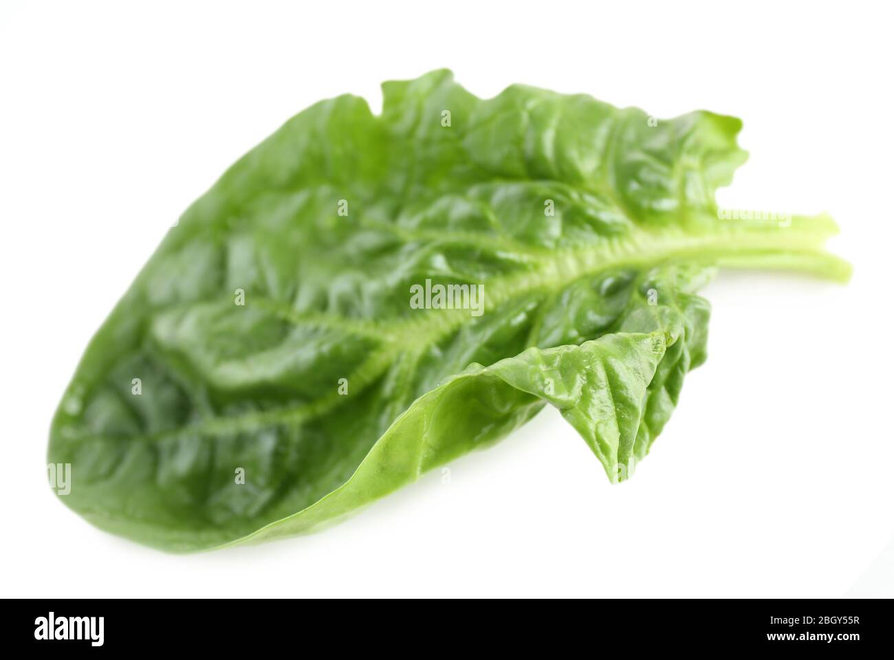 Spinach leaf isolated on white Stock Photo - Alamy