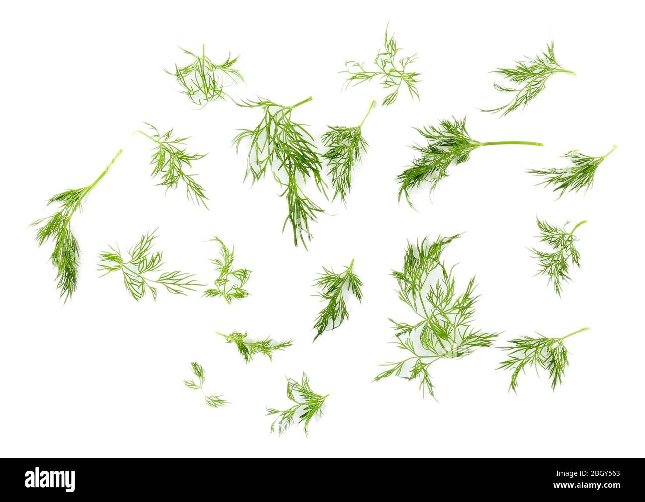 Sprigs parsley Cut Out Stock Images & Pictures - Alamy