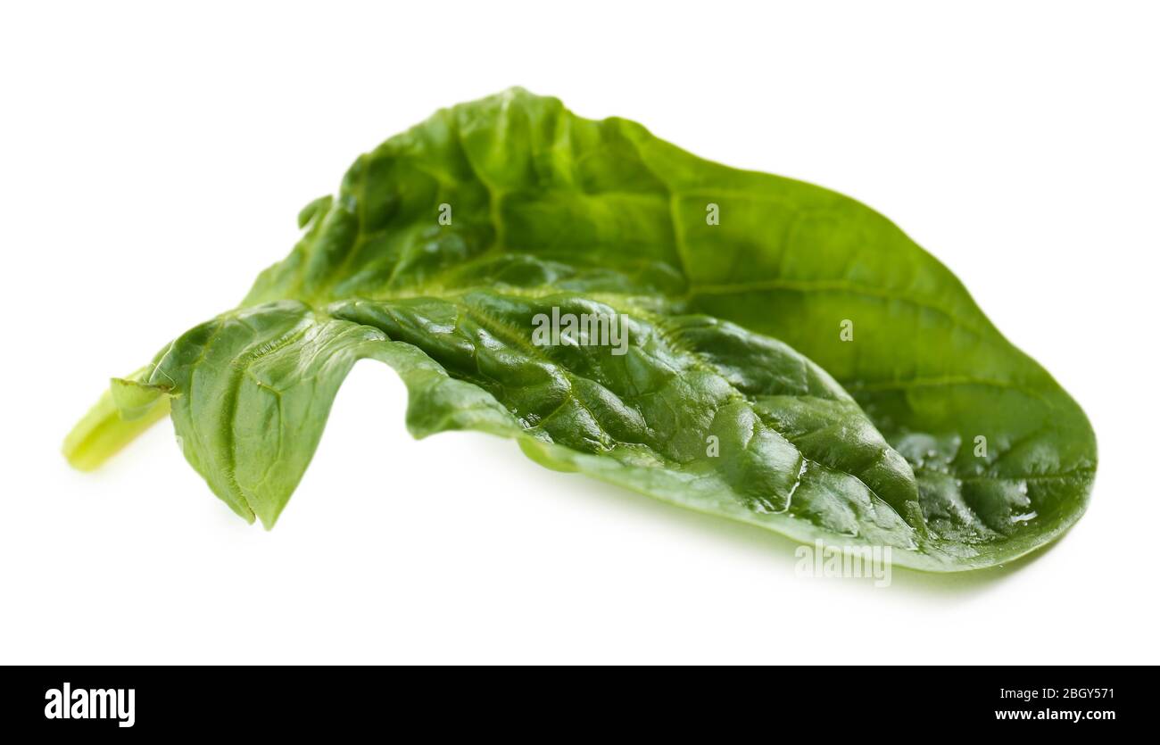 Spinach green leaf set Cut Out Stock Images & Pictures - Alamy