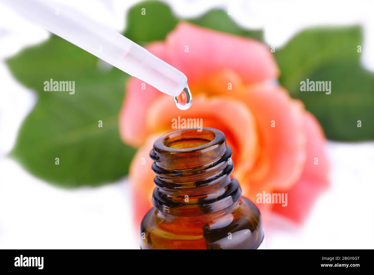 Dropper bottle of perfume with rose on light background Stock Photo - Alamy