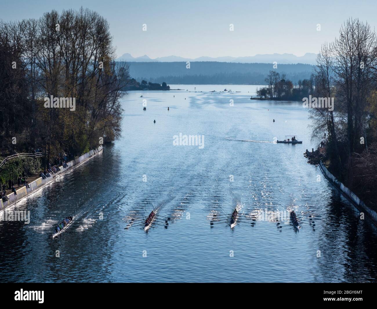 Rowing competition at Montlake Cut in Seattle Washington Stock Photo ...