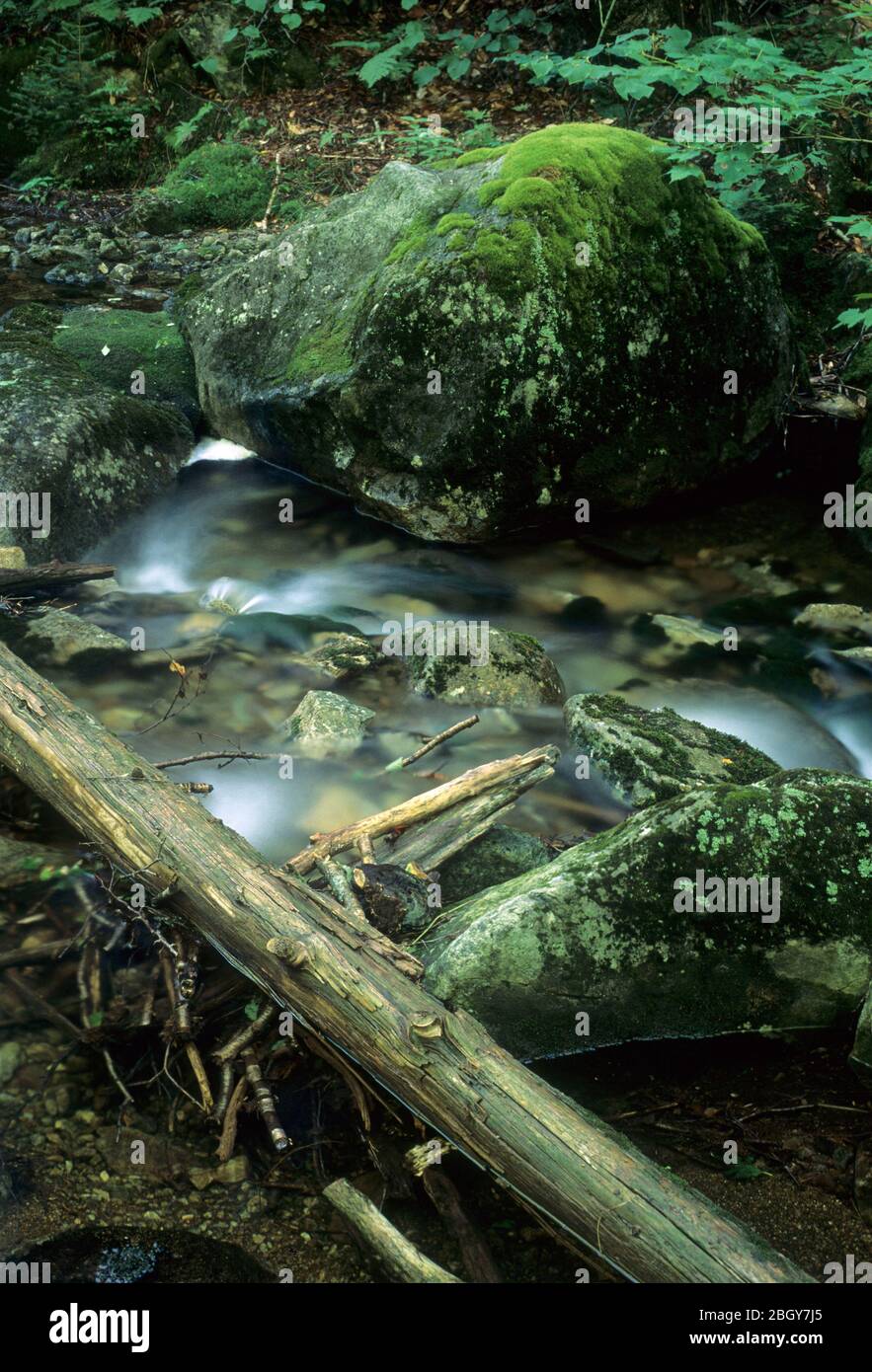 Indian Brook, High Peaks Wilderness, Adirondack Forest Preserve, New ...