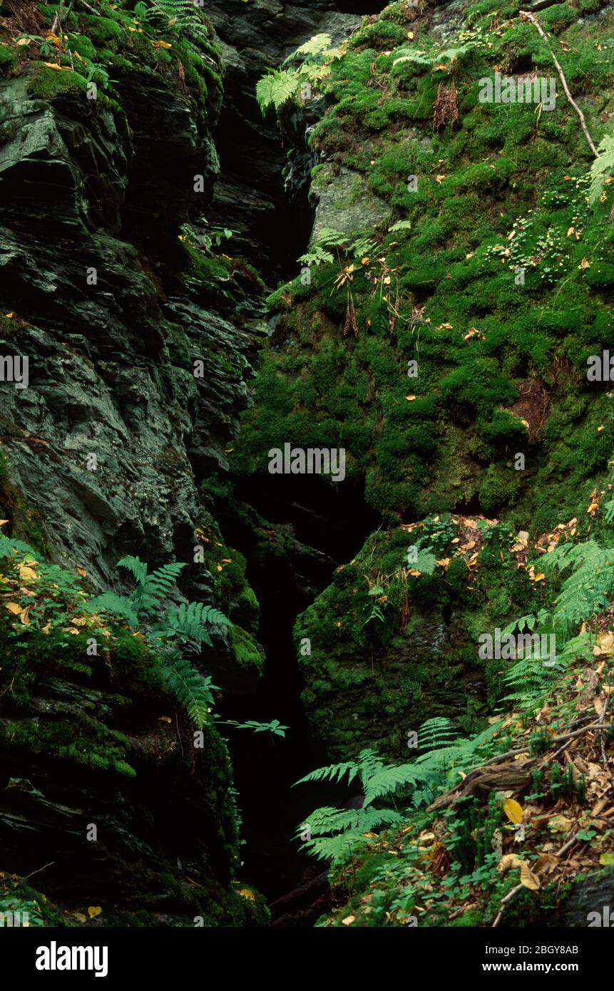 Snow Hole on Taconic Crest Trail, Taconic State Park, New York Stock ...