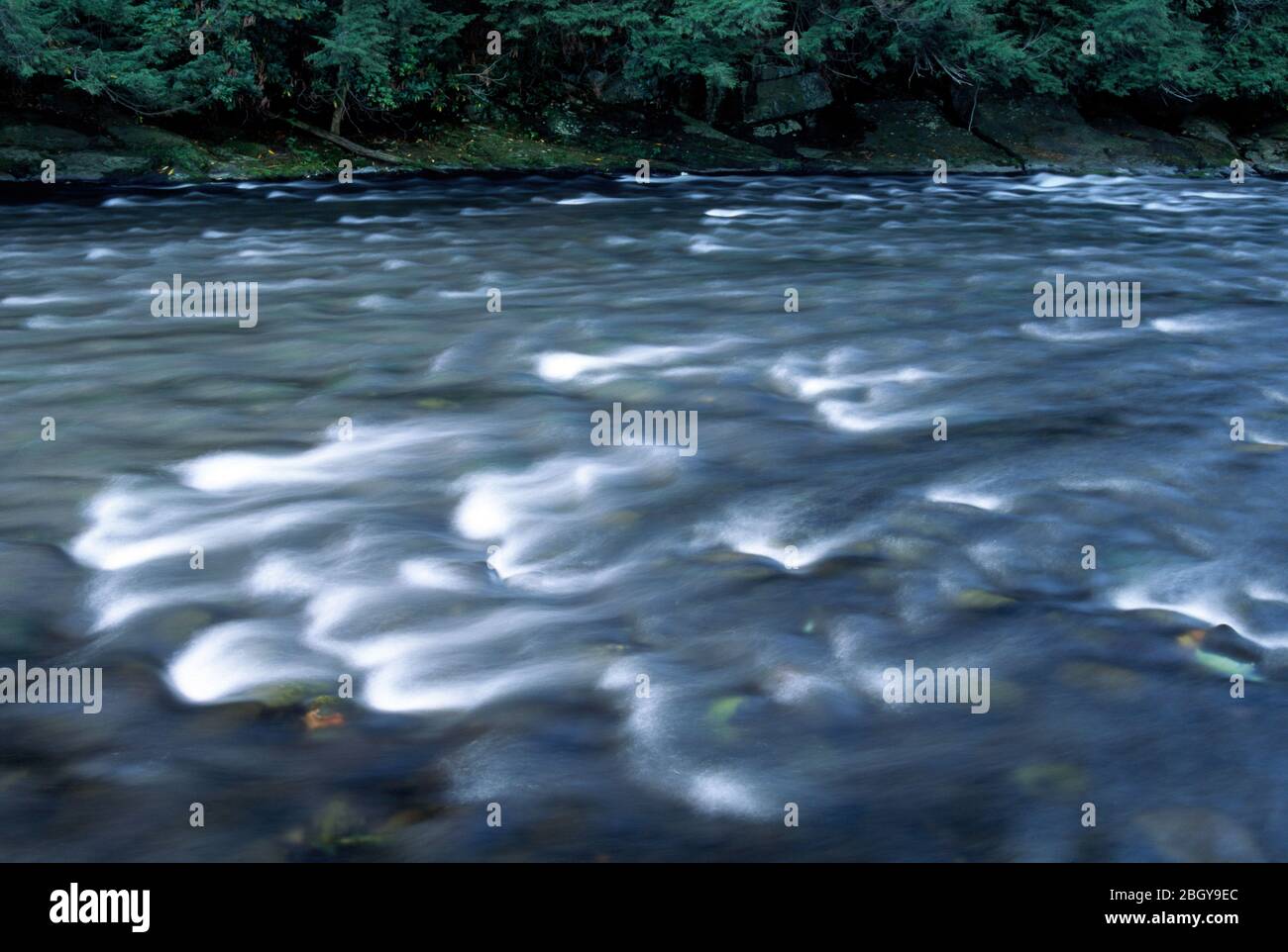 River neversink hi-res stock photography and images - Alamy