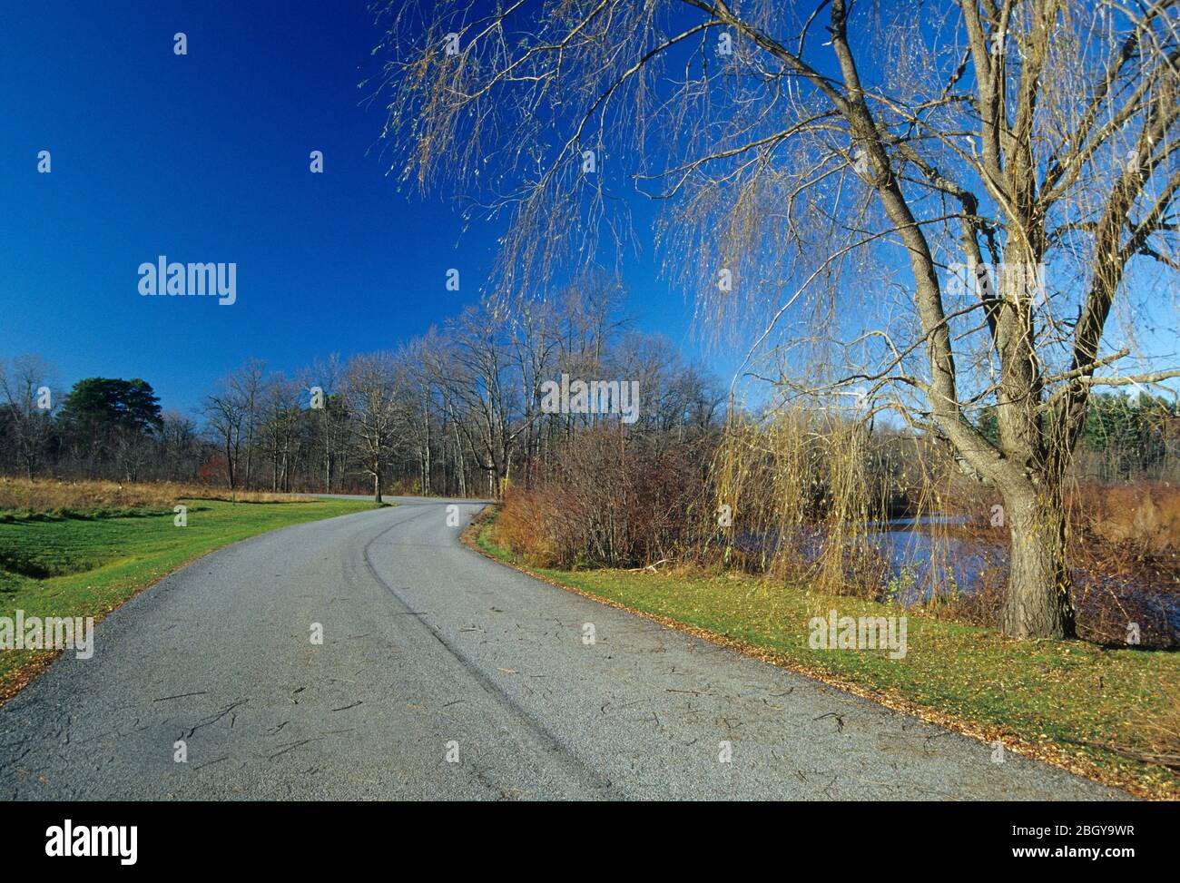 Val-Kill driveway, Eleanor Roosevelt National Historic Site, New York ...
