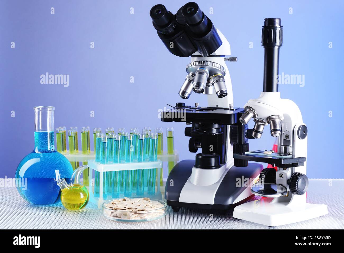 Microscopes, Petri dish with samples of grain and test tubes on table ...