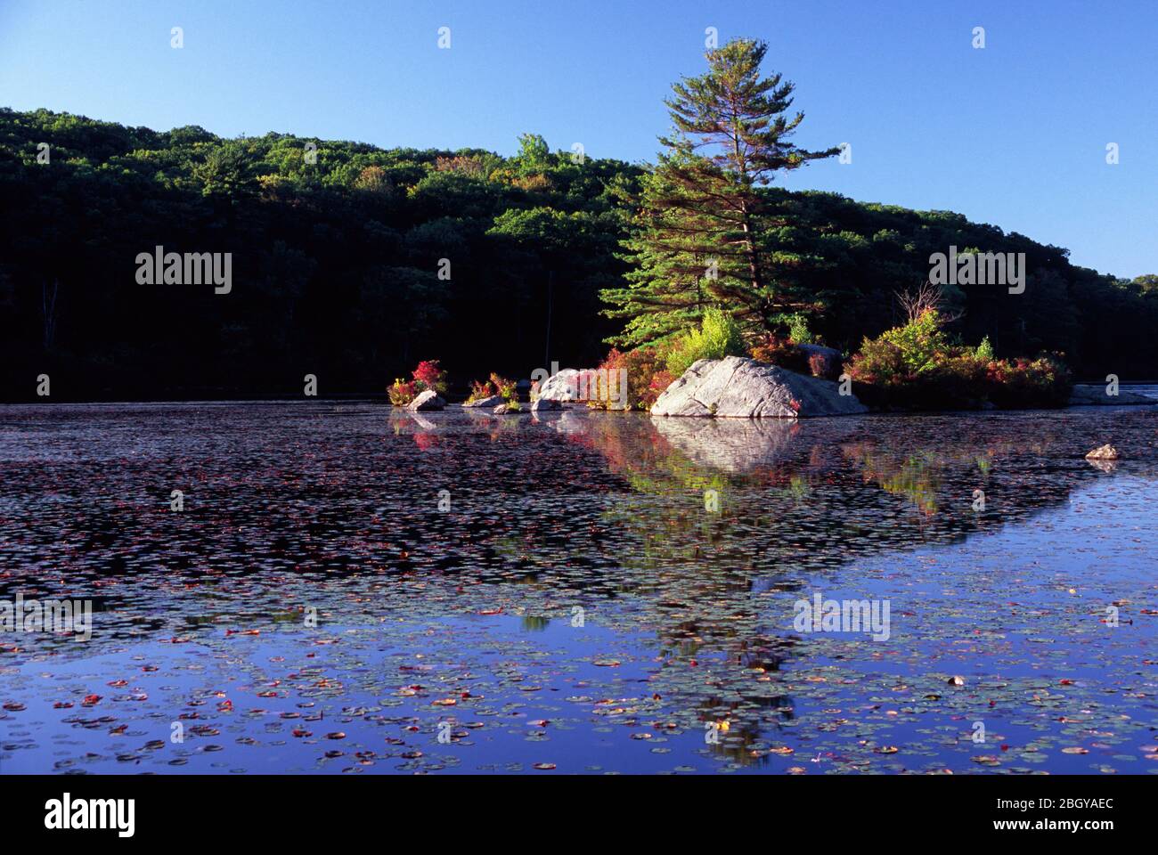 Little Long Pond, Harriman State Park, New York Stock Photo - Alamy
