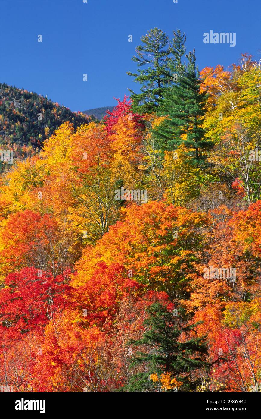 Adirondacks autumn hi-res stock photography and images - Alamy