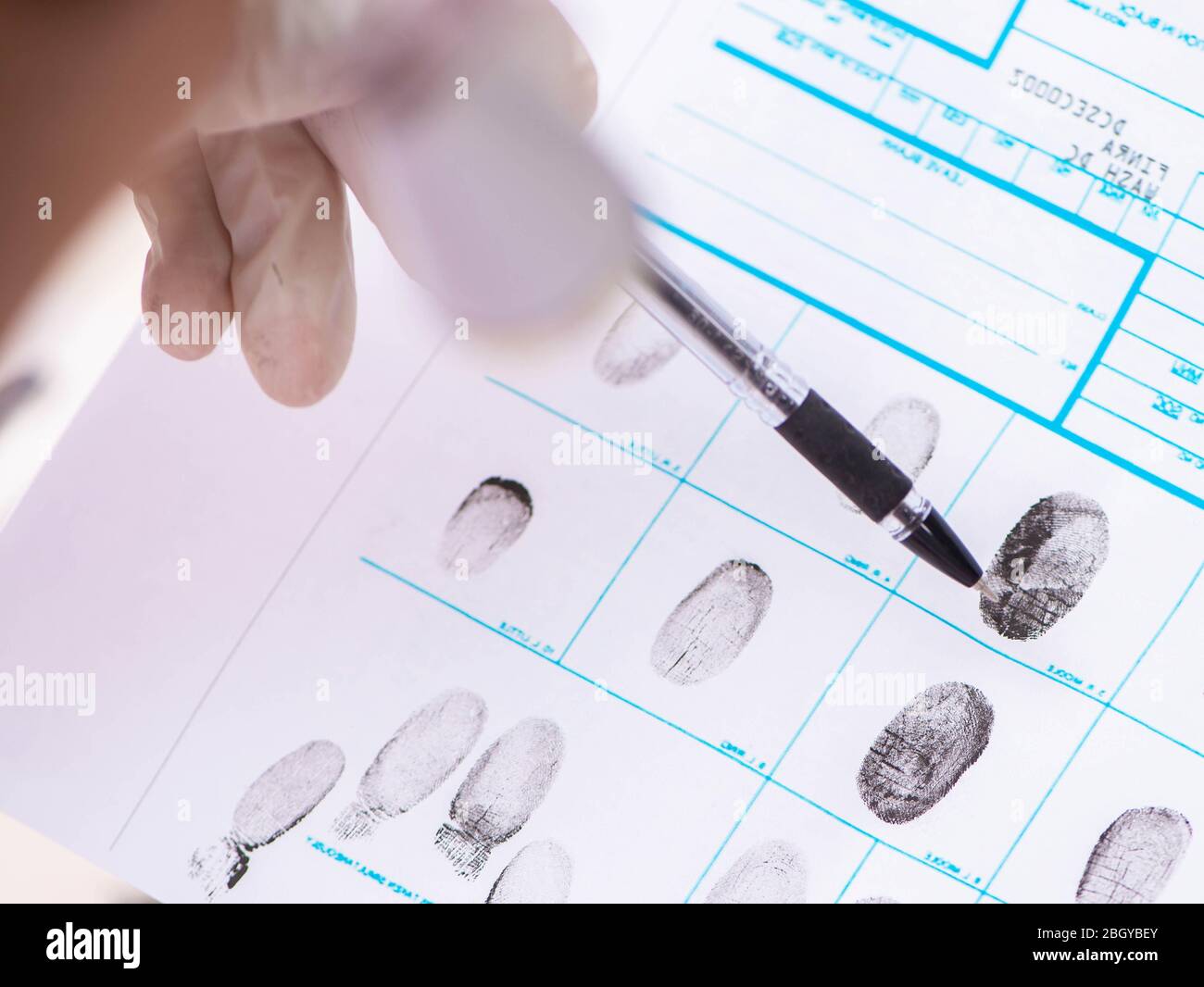 The forensic expert studying fingerprints in the lab Stock Photo - Alamy