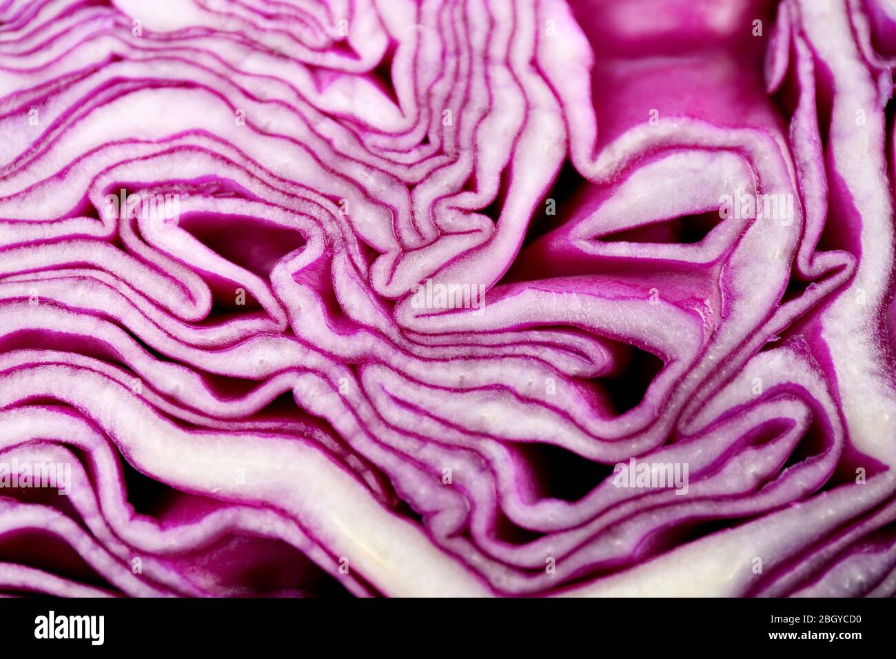 Red cabbage texture Stock Photo - Alamy