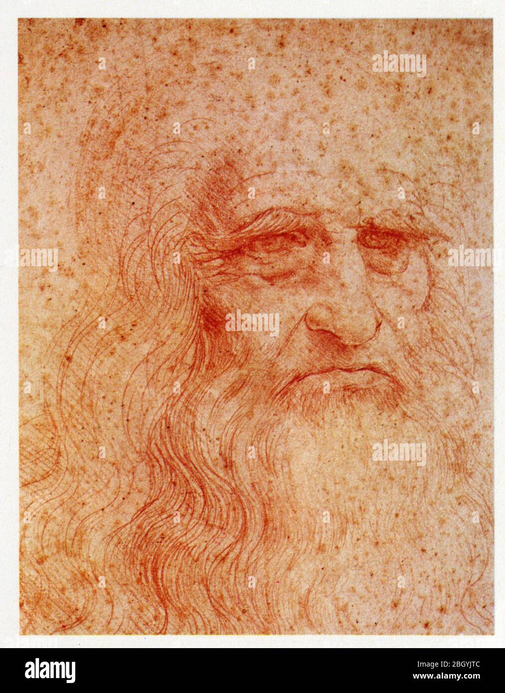 Leonardo da Vinci. Autoportrait. À la sanguine. 1512 Stock Photo - Alamy
