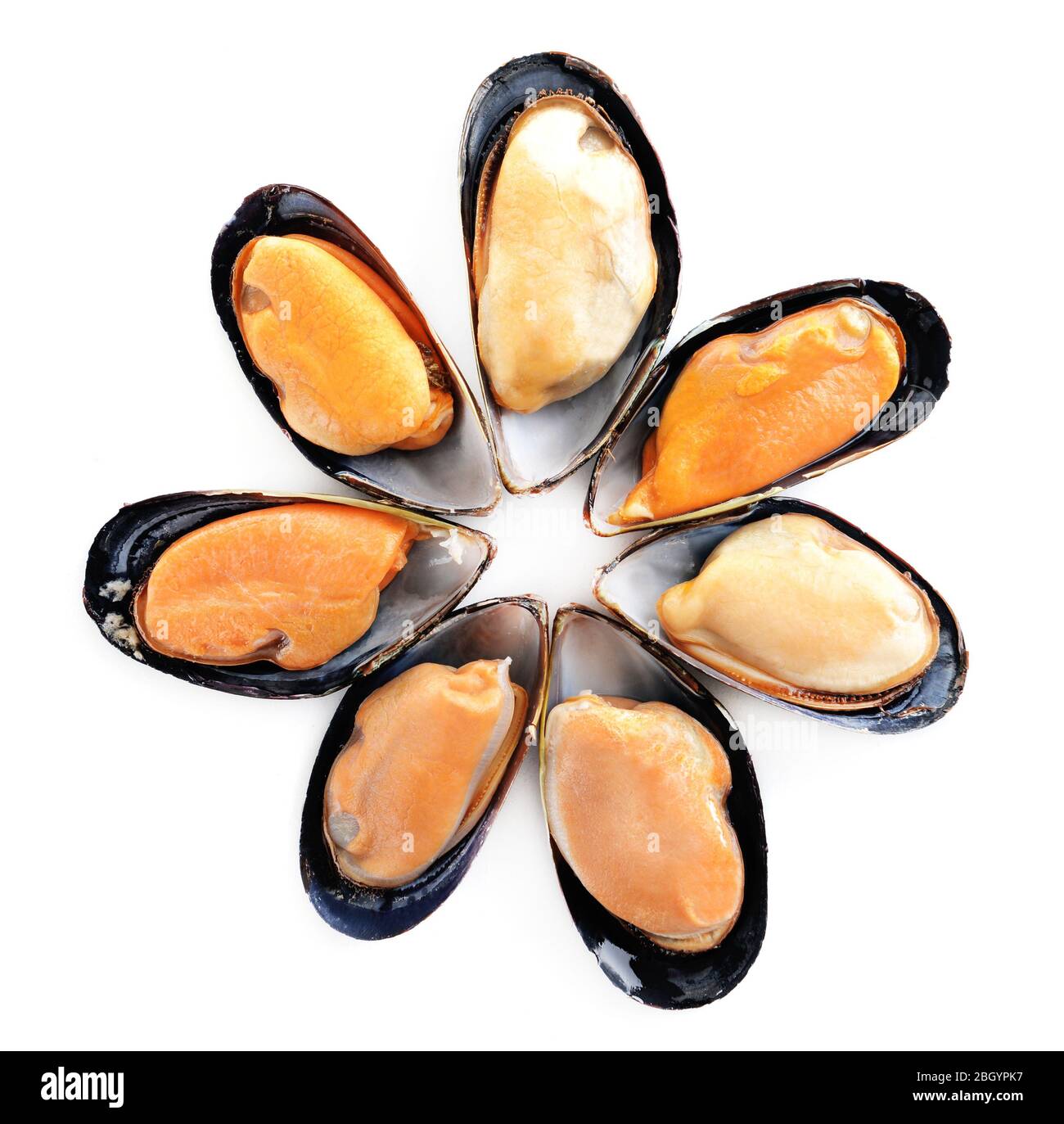 Mussels isolated on white Stock Photo - Alamy