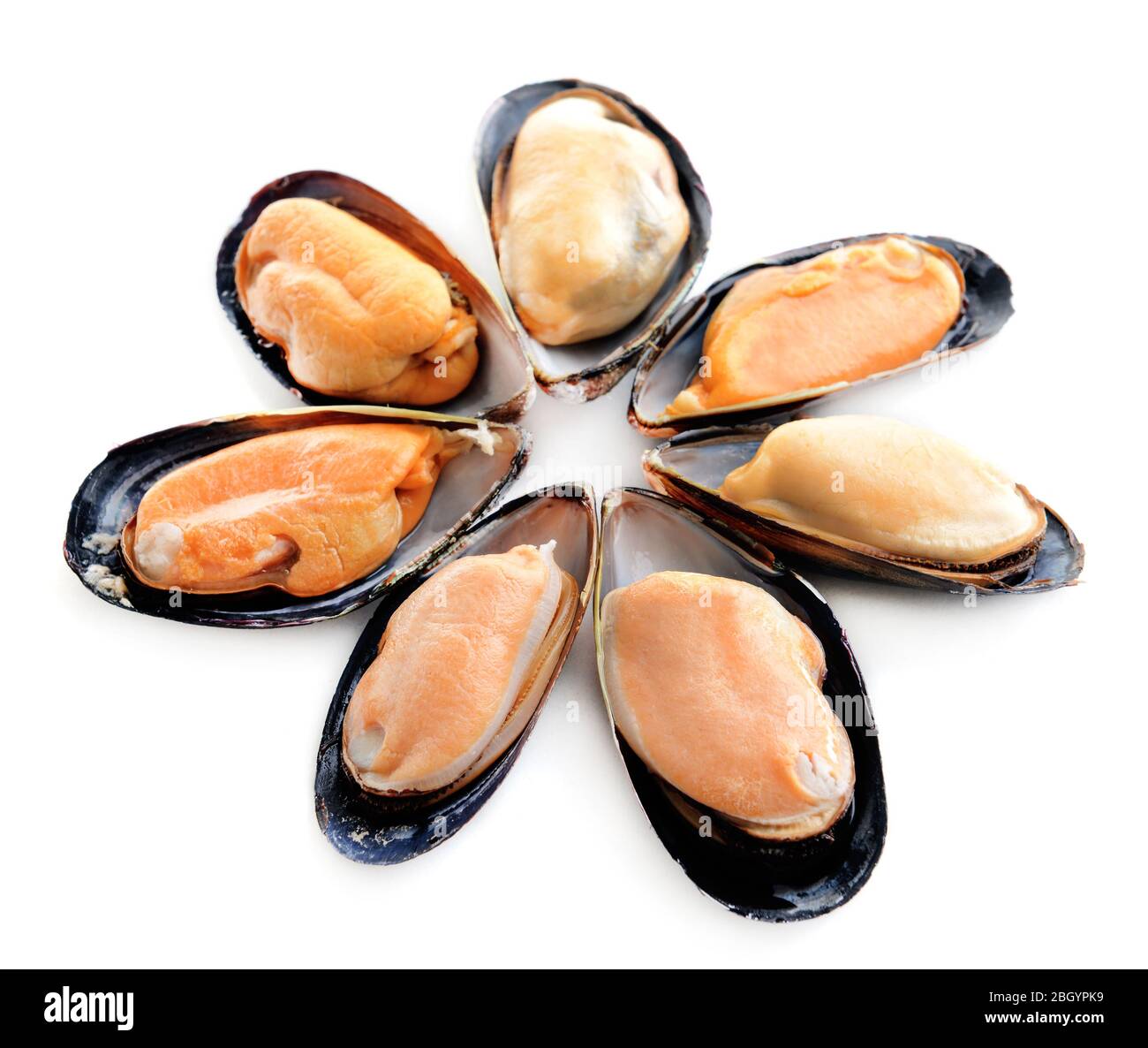 Mussels isolated on white Stock Photo - Alamy