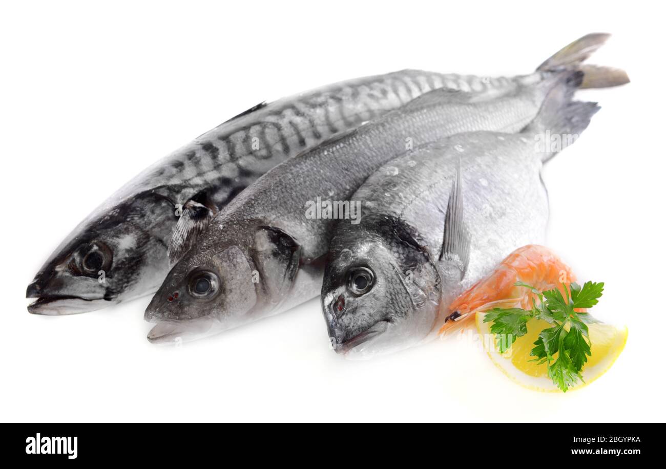 Fresh fish and other seafood isolated on white Stock Photo - Alamy