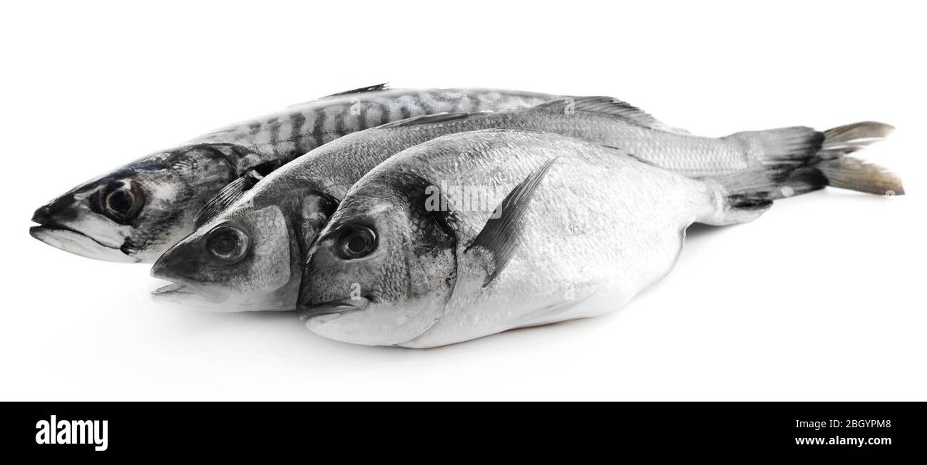 Fresh fish isolated on white Stock Photo - Alamy