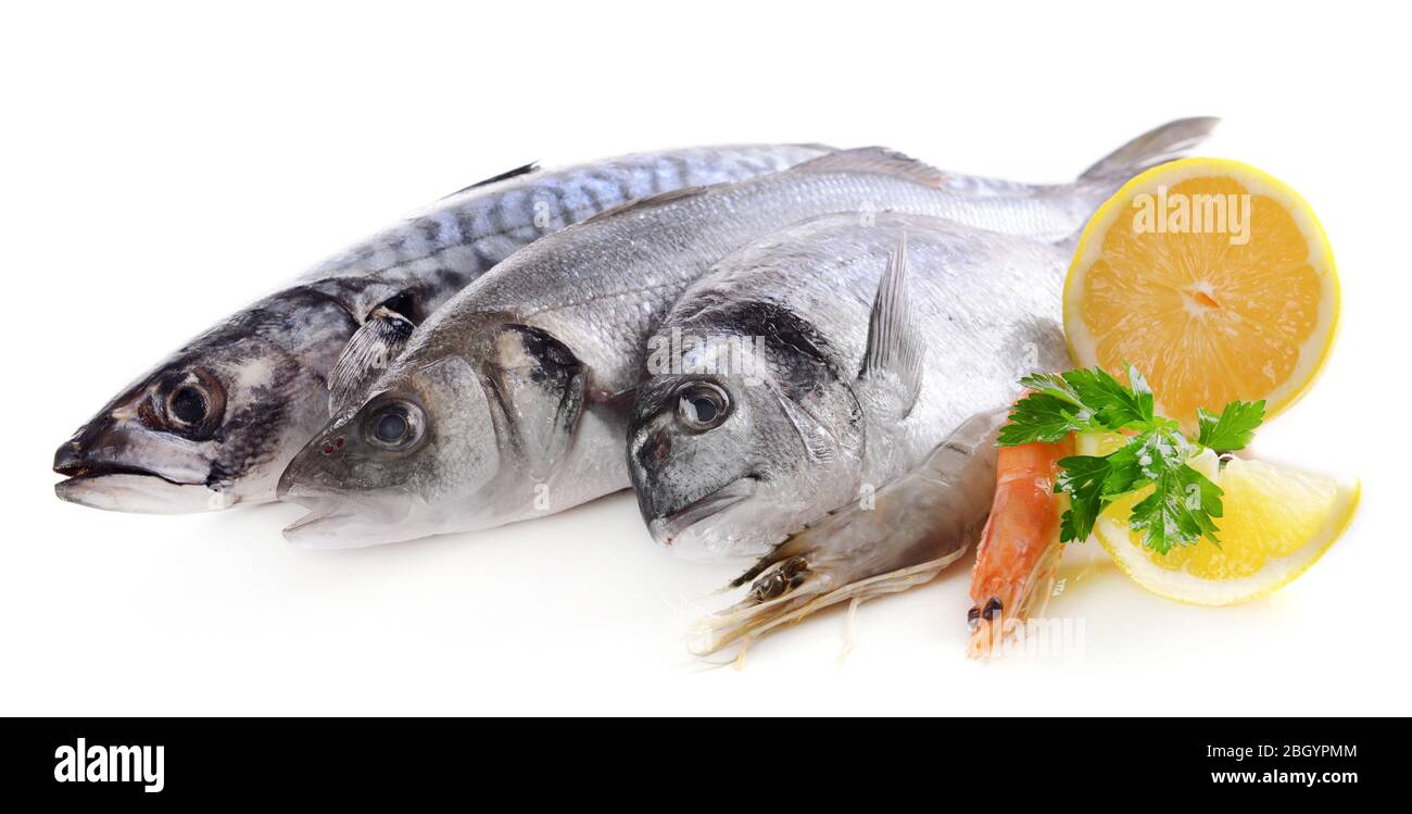Fresh fish and other seafood isolated on white Stock Photo - Alamy