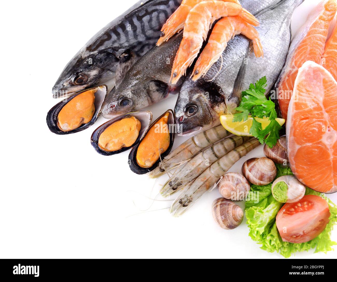 Fresh fish and other seafood isolated on white Stock Photo - Alamy