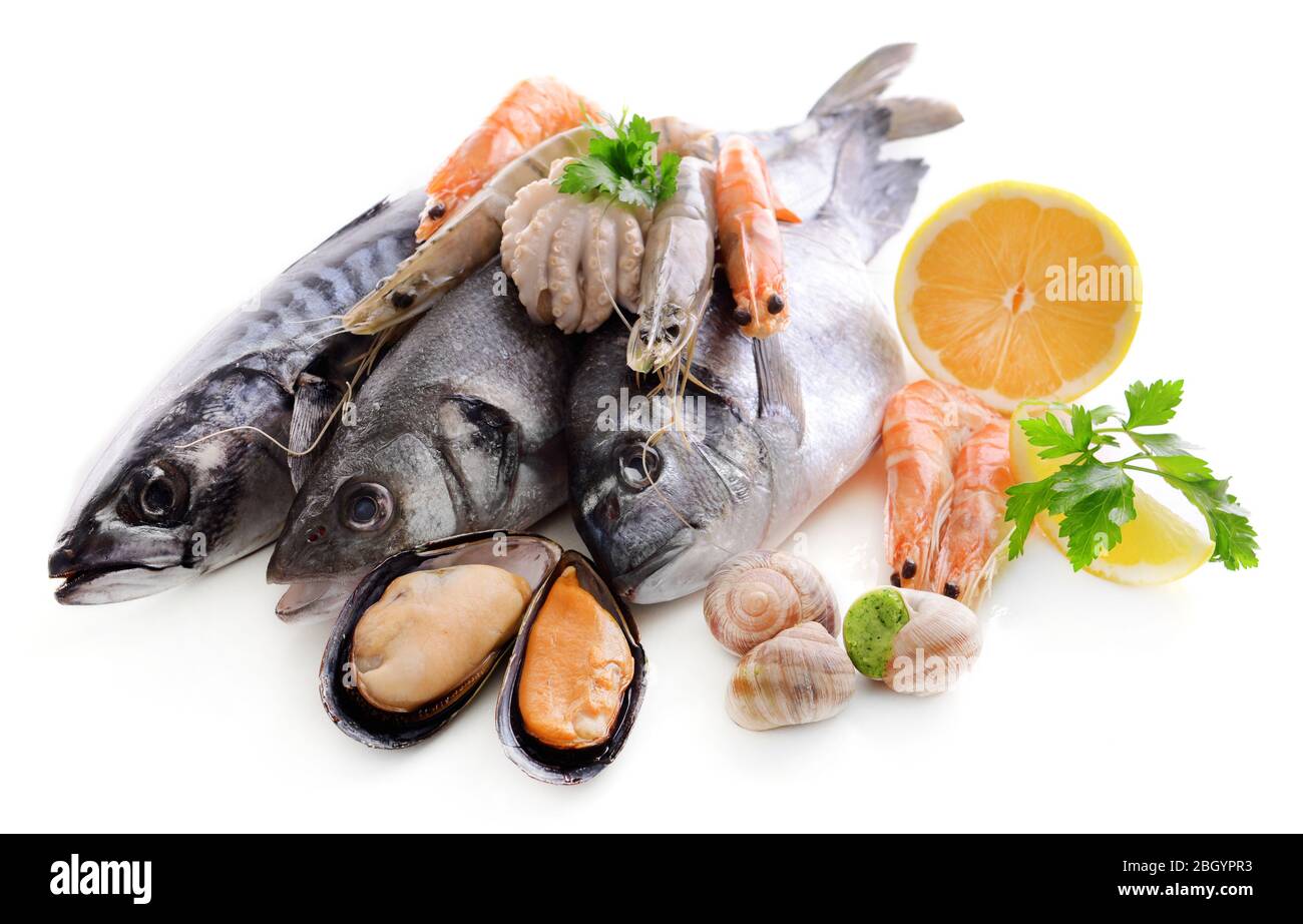 Fresh fish and other seafood isolated on white Stock Photo - Alamy