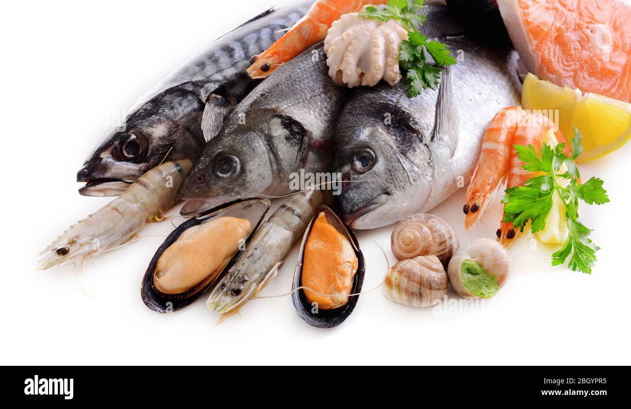 Fresh fish and other seafood isolated on white Stock Photo - Alamy