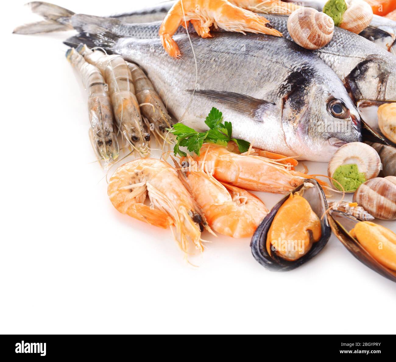 Fresh fish and other seafood isolated on white Stock Photo - Alamy