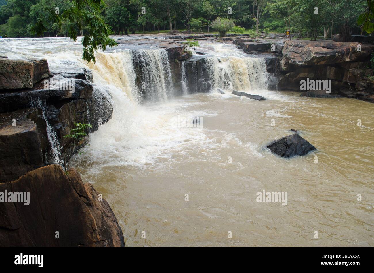 Tad ton hi-res stock photography and images - Alamy