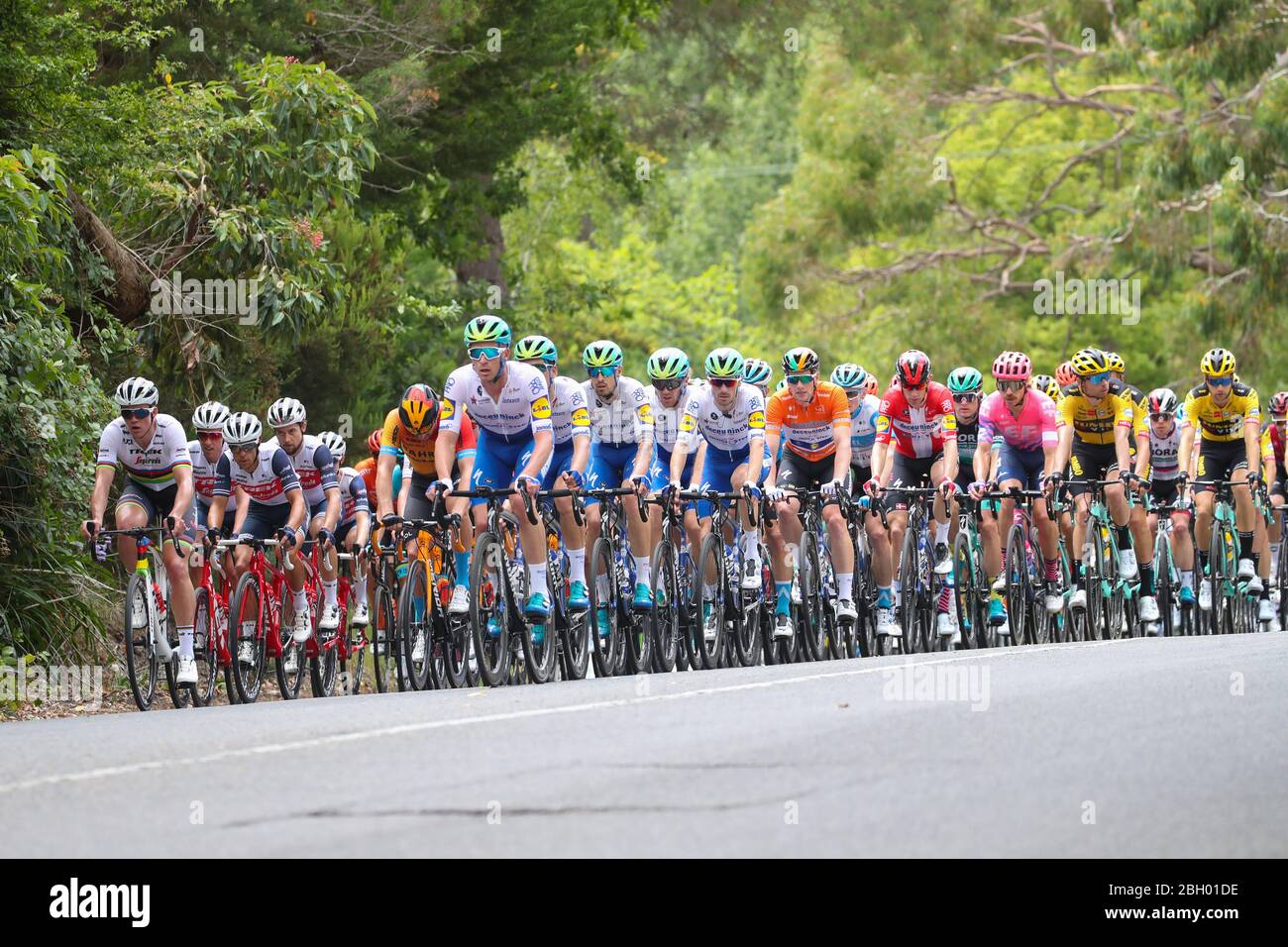 Quickstep cycling team hi-res stock photography and images - Alamy