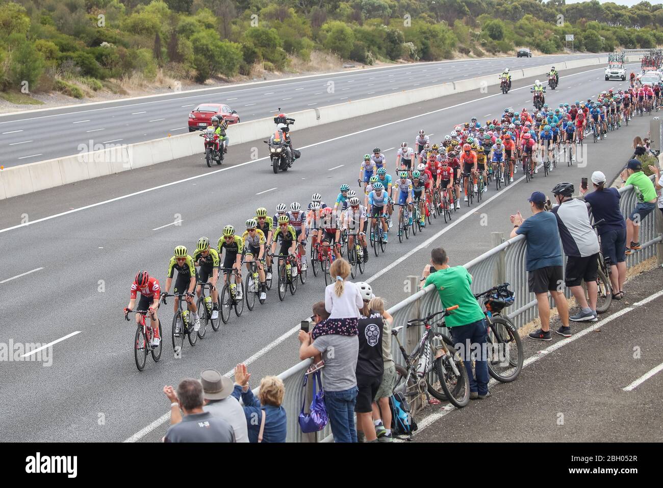 ADELAIDE, SOUTH AUSTRALIA - JANUARY 25, 2020: Peleton on Southern ...