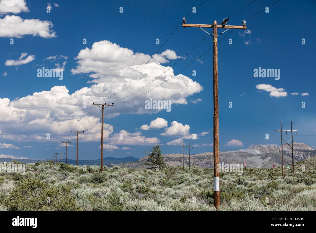 A row of wooden utility poles in the american backcountry under a blue ...