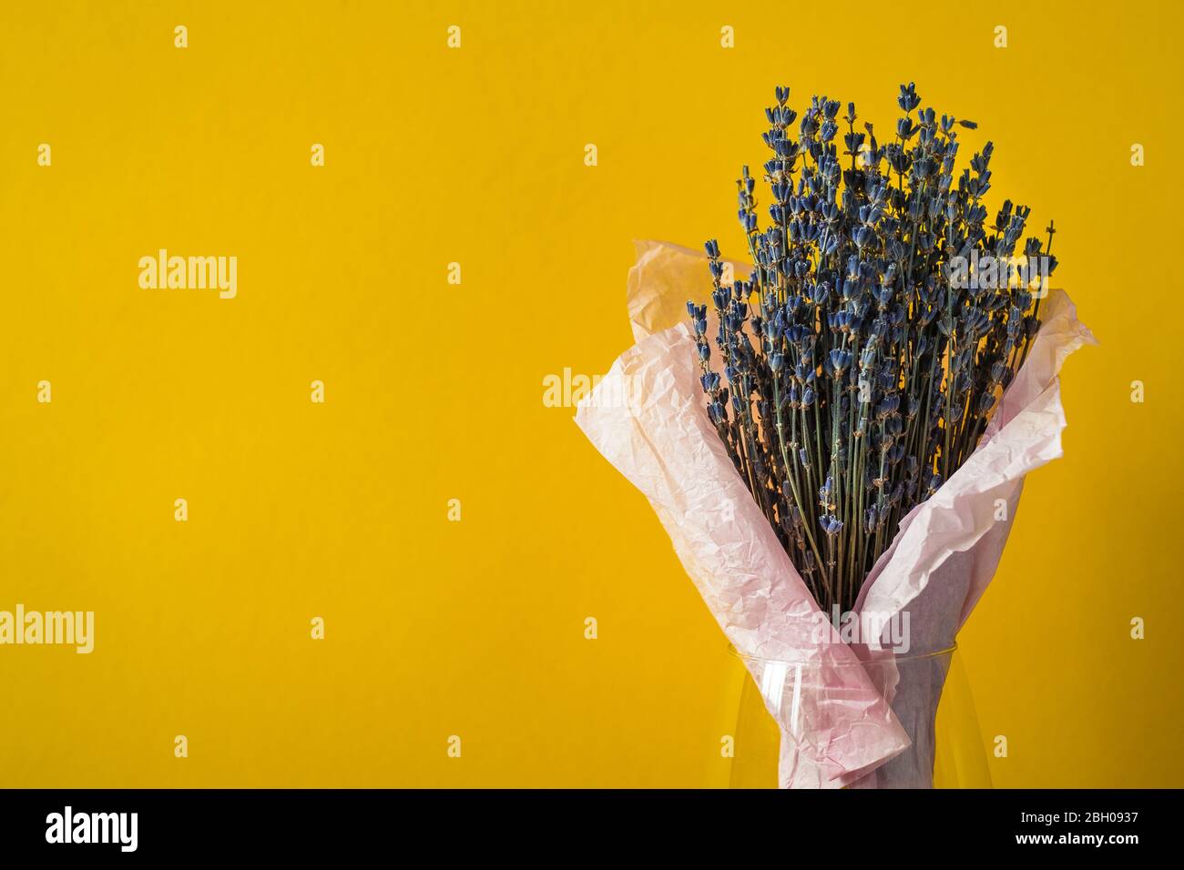 A Lavender branches Stock Photo - Alamy