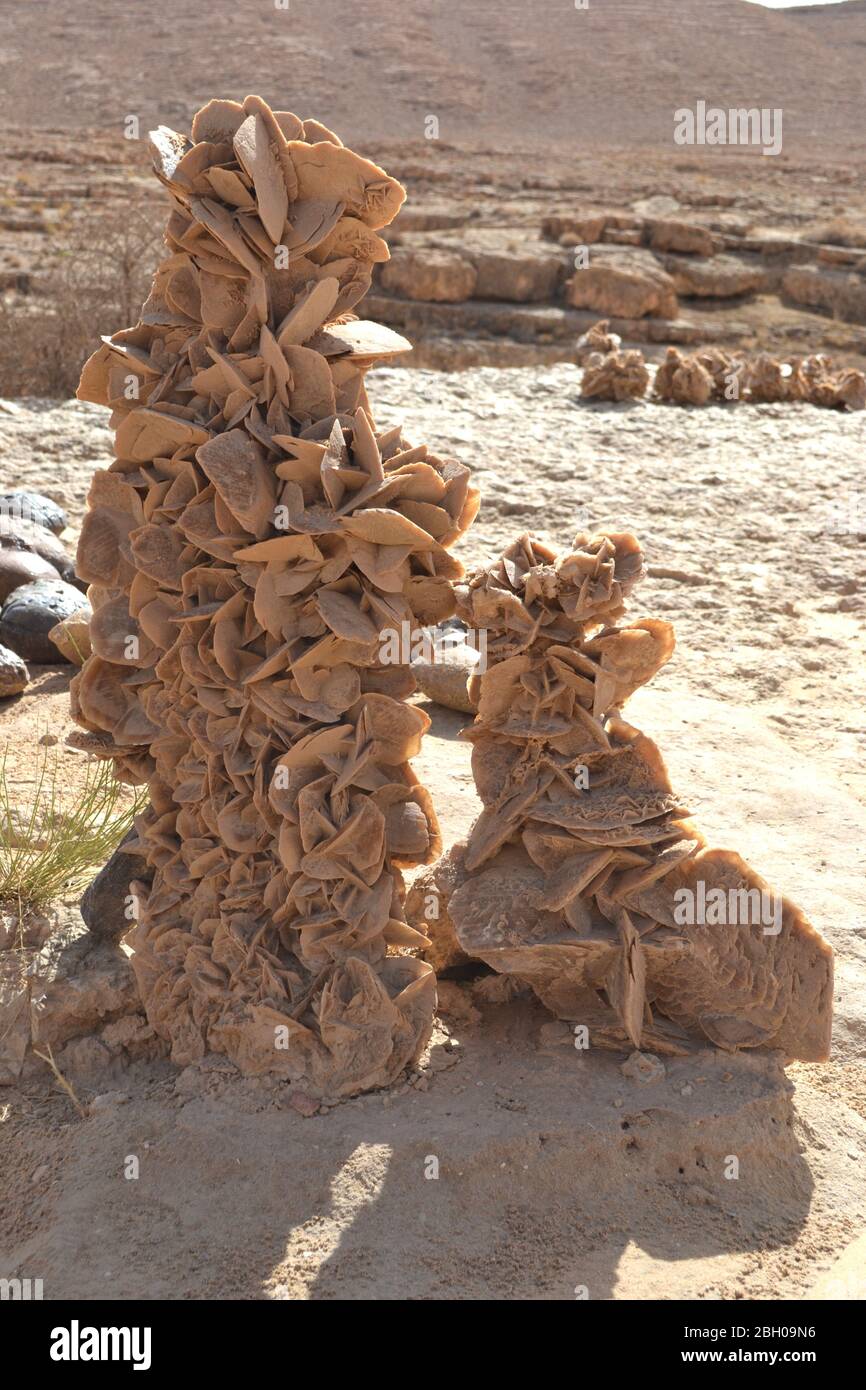 Desert rose desert tunisia africa hi-res stock photography and images ...